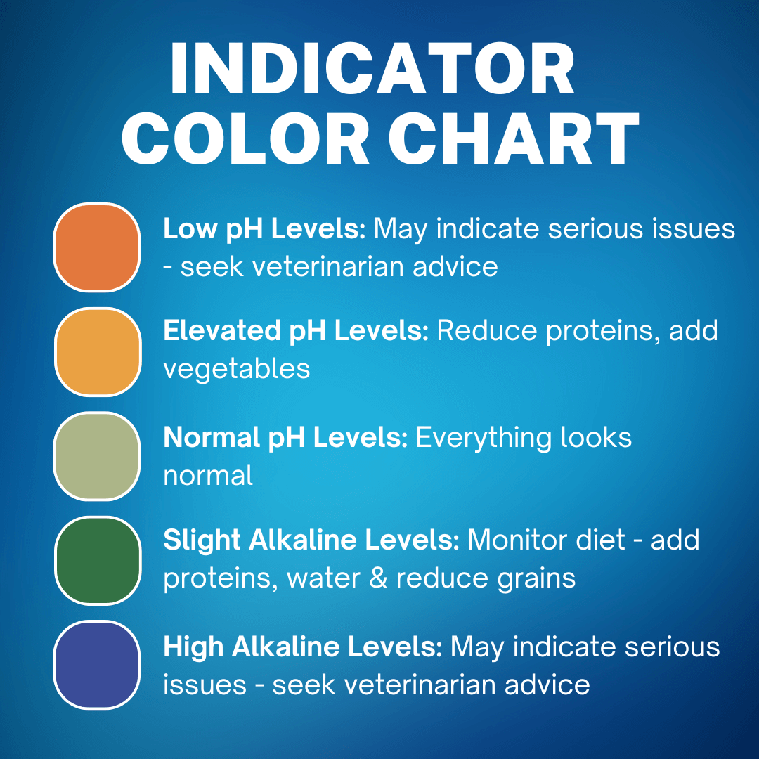 RX Cat Health Indicator – CatSpot Litter